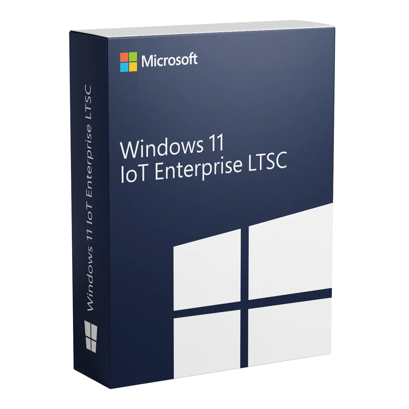 Windows 11 Professional 32/64 bit (Multilanguage) IoT Enterprise LTSC ...